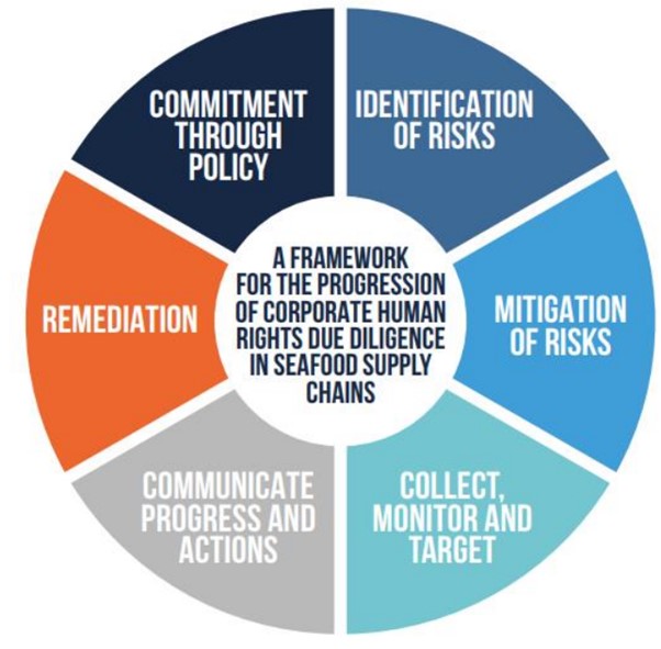 Commitment to Progress - SEAA - The Seafood Ethics Action Alliance