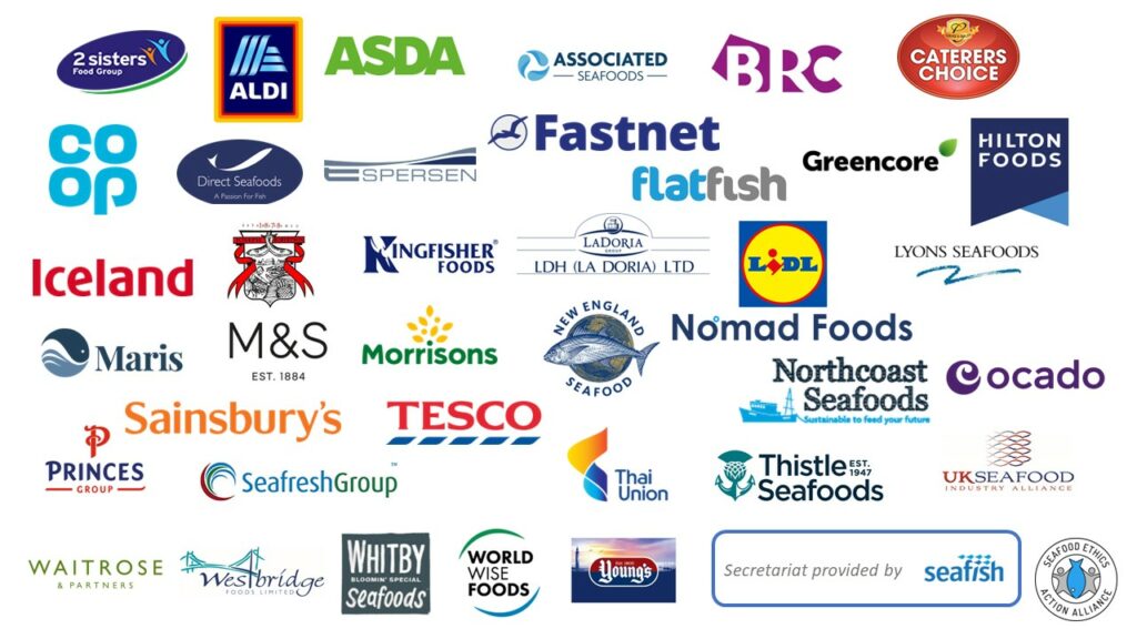 Our Steering Committee - SEAA - The Seafood Ethics Action Alliance